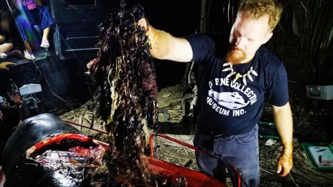 Plastic Pollution Health Risks: Why It Poses a Serious Threat to Humans ...