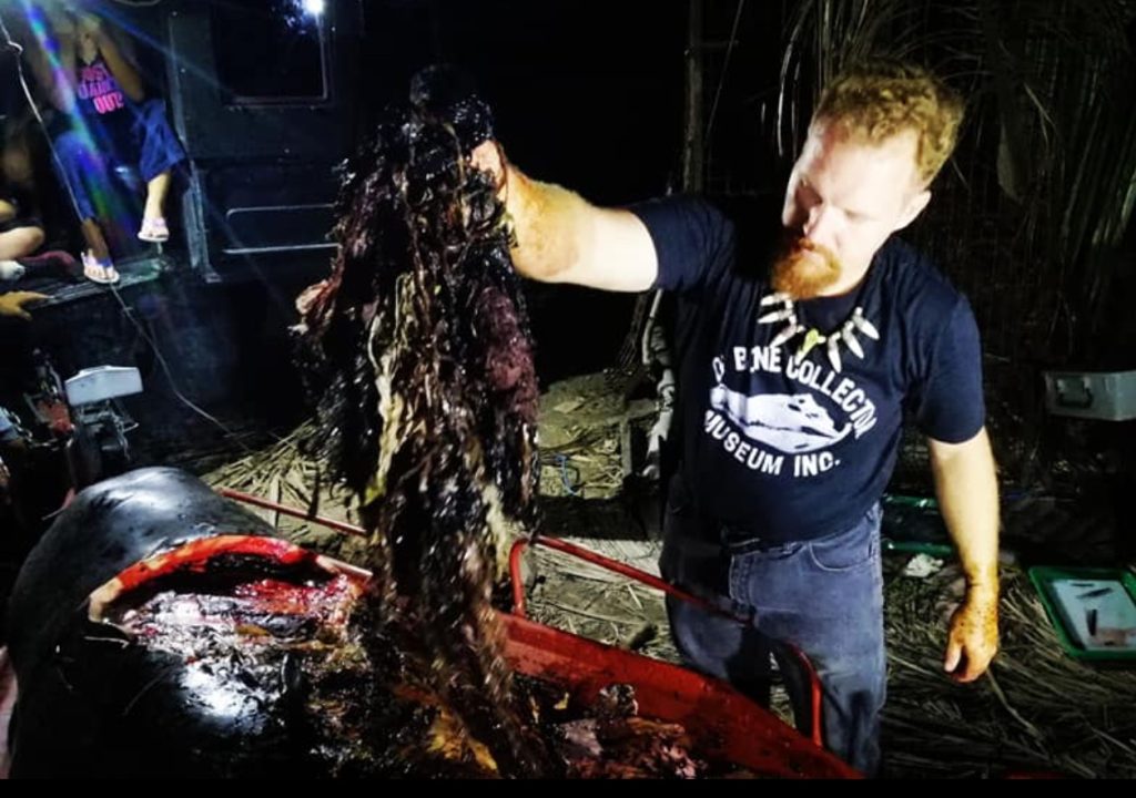 Plastic Pollution Health Effects in the Philippines: Why It Matters