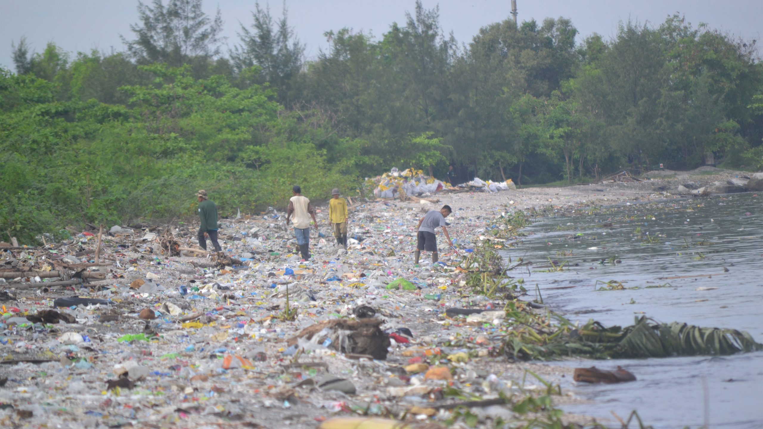 Plastic Pollution Health Effects in the Philippines: Why It Matters