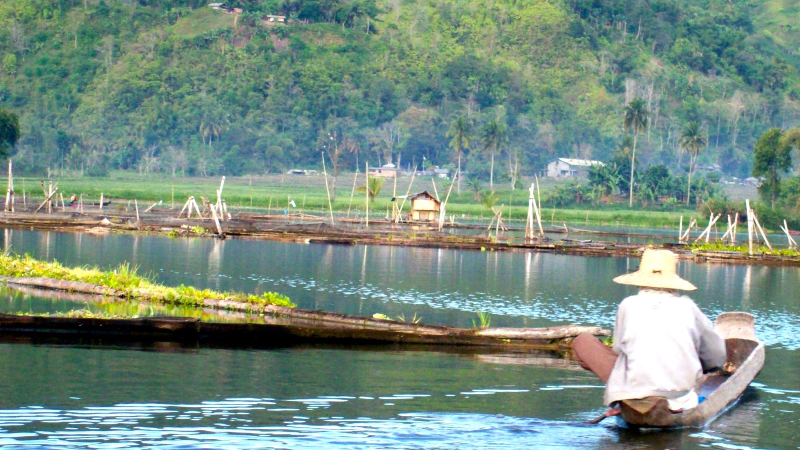 Challenges and Opportunities of Tilapia Farming in the Philippines